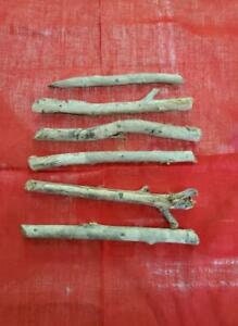 6 Palo Para Mi Santeria Palo Prenda – Shango ochun